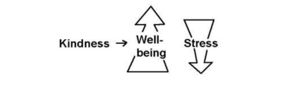 October 2021: Leading the Lasso Way | Essential Leadership